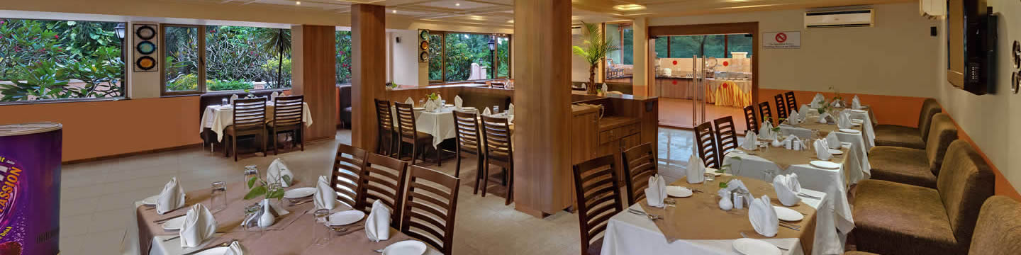 Salud Bar (seasonal)